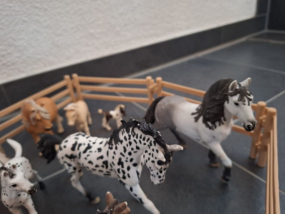 Schleich Pferde Set (Set 5) (Gebraucht) in Pfungen für CHF 25 – nur ...