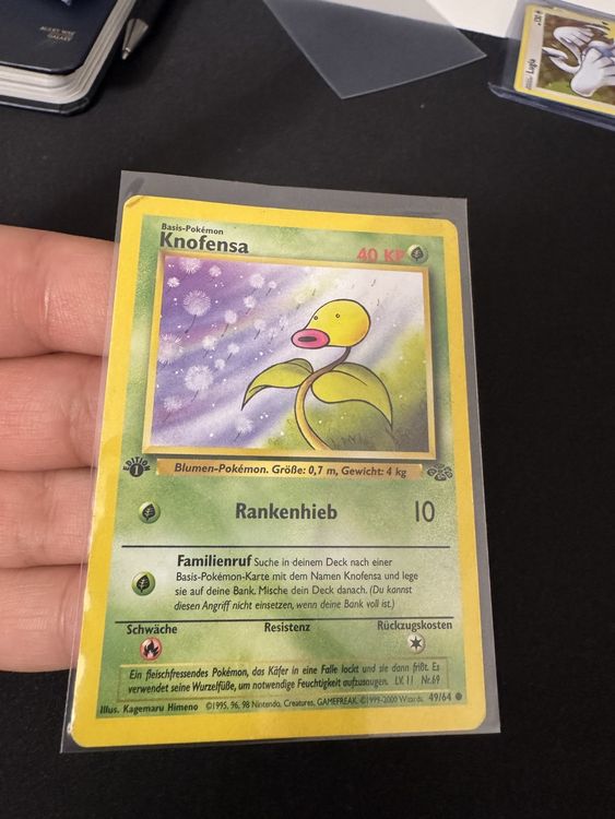 Bellsprout 49/64 – Jungle 1st Edition – Common – LP (Neu (gemäss ...