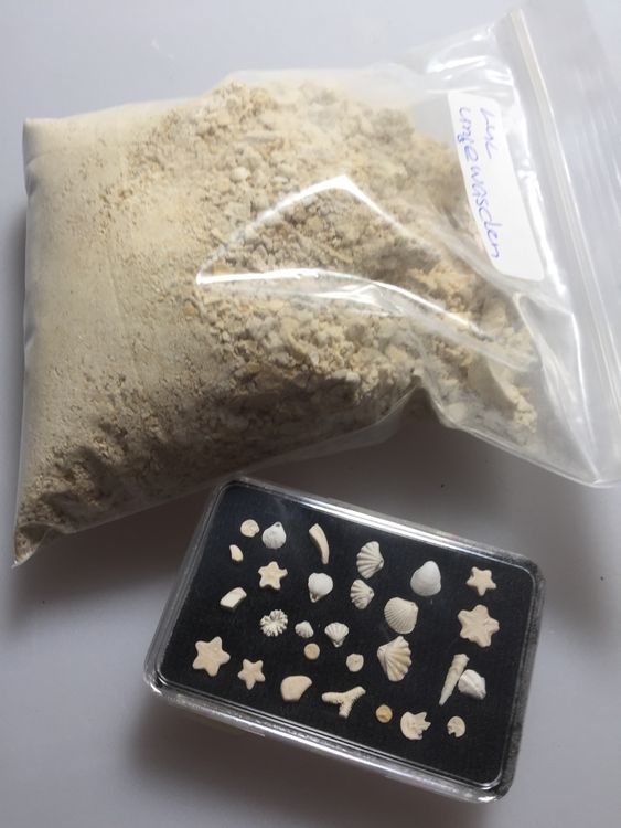 Fossiler Sand zum Mikroskopieren. OHNE das Böxli! | Kaufen auf Ricardo