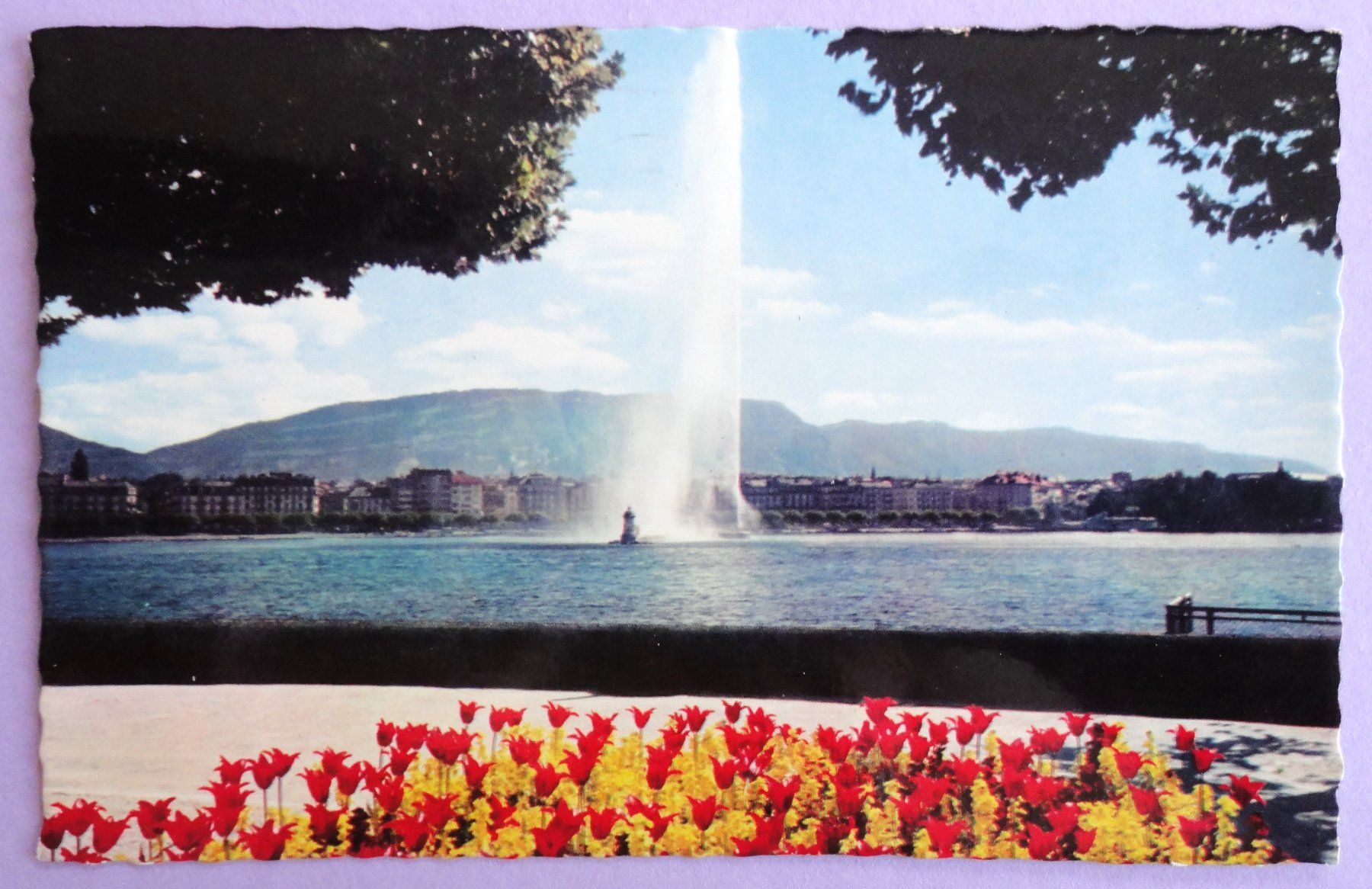 Genève - Le Jet d' Eau (130 m) (D'occasion) à Fétigny pour CHF 1 – avec livraison | Acheter sur ...