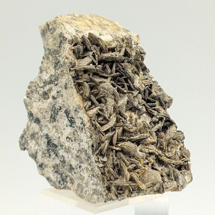 WIESE aus SILBERNEM ALPINEM MUSKOVIT, Italien (Neu (gemäss Beschreibung ...