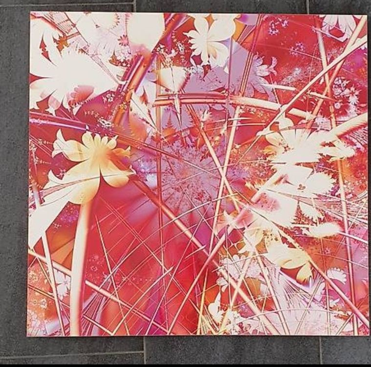 Lumas Acrylbild | Kaufen auf Ricardo