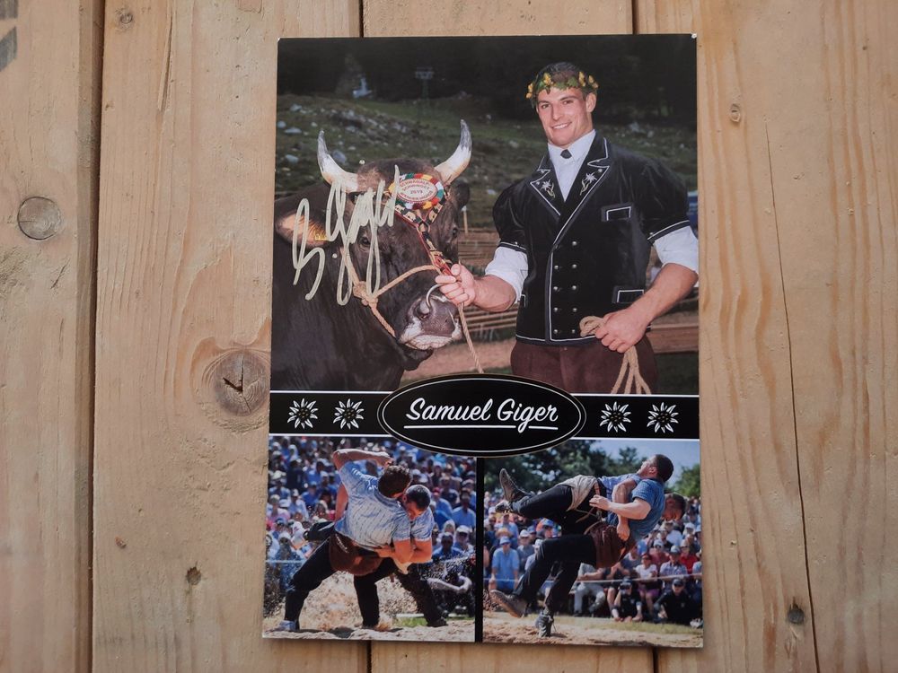 Giger Samuel / Schwinger (Gebraucht) in Worben für CHF 3.5 – mit ...