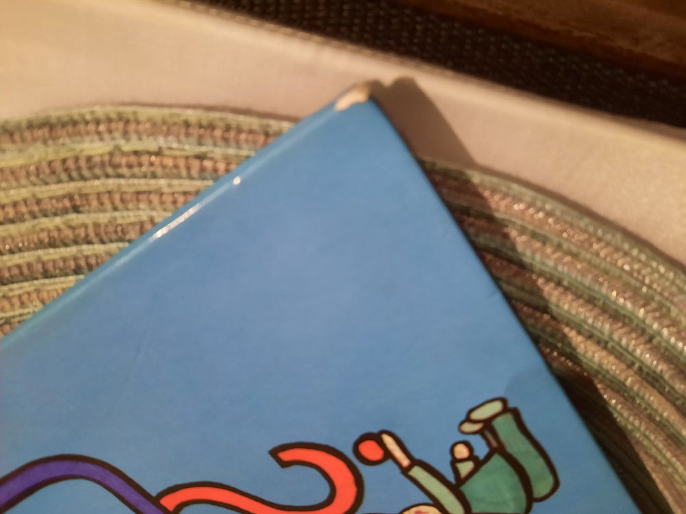 Kinderbuch "Kennt Ihr Blauland?" von Tina Rau, 1988 (Gebraucht) in ...