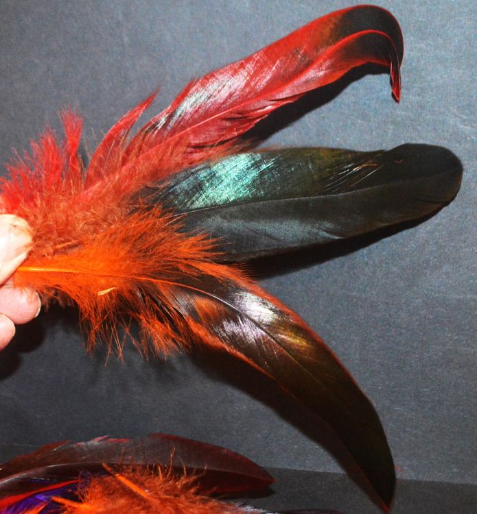 Deko Federn 489 – 20 bis 25 cm – Hahn - 50 Stück (Neu und ...