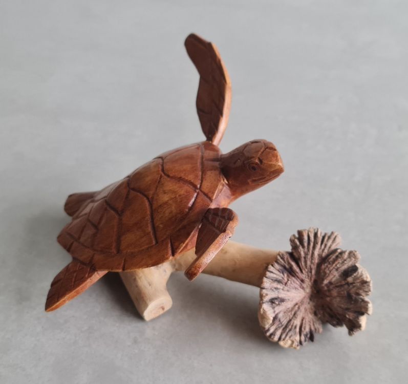 Meeresschildkröte / See Turtle aus Holz | Kaufen auf Ricardo