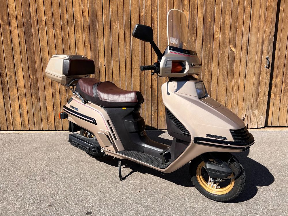 Honda Spacy 250 Jg. 1988 Roller Scooter (Gebraucht) in Fiesch für CHF ...