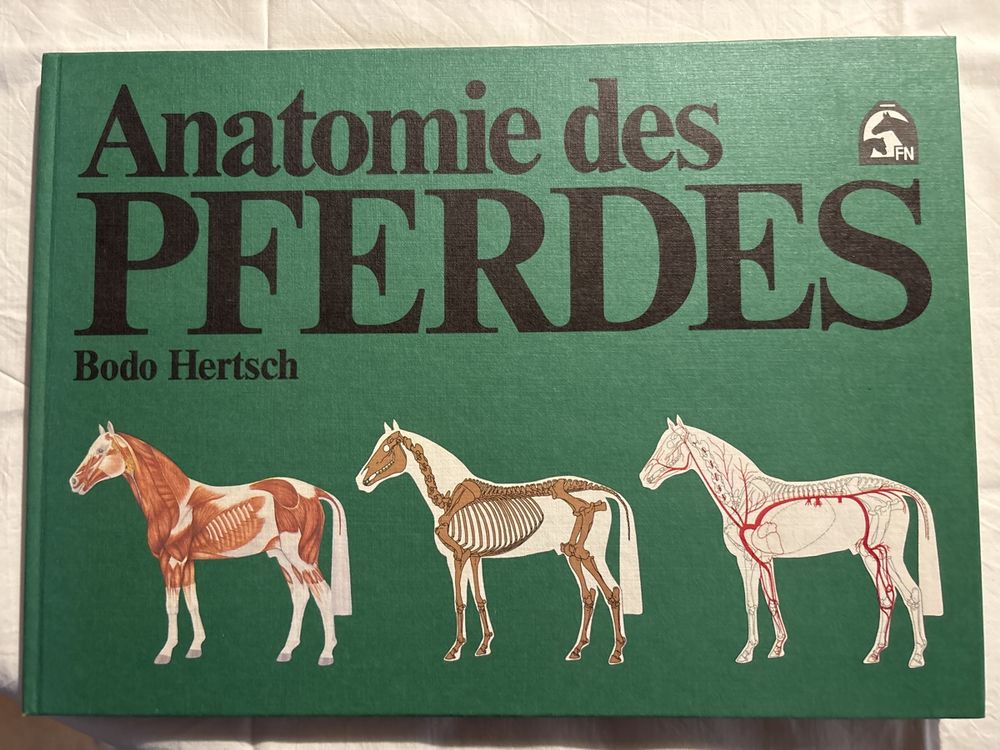 Anatomie des Pferdes von Bodo Hertsch | Kaufen auf Ricardo