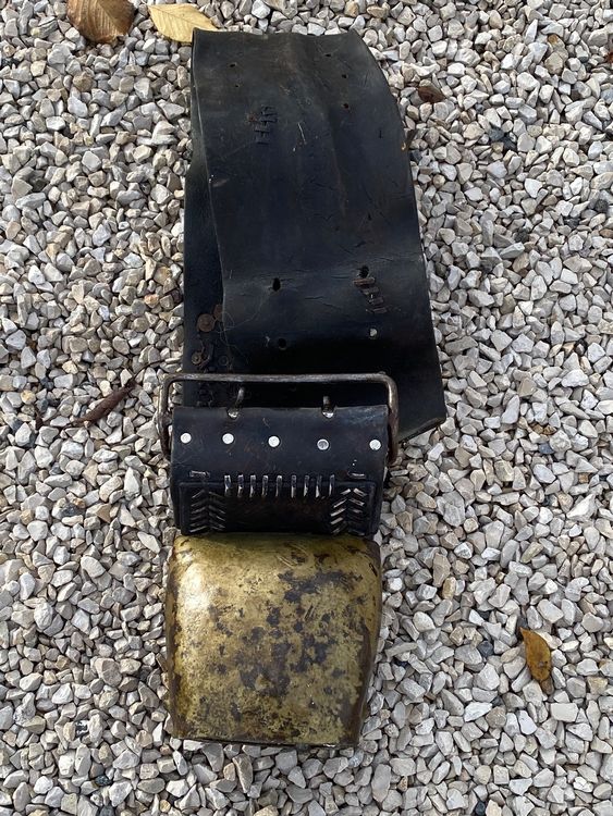 Cloche à vaches | Kaufen auf Ricardo