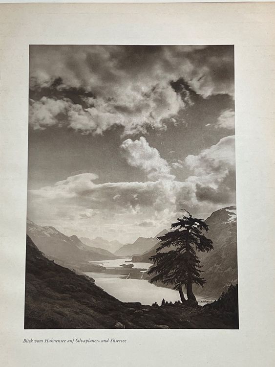 Albert Steiner Engadiner Landschaften top Foto Bilderbuch | Kaufen auf Ricardo