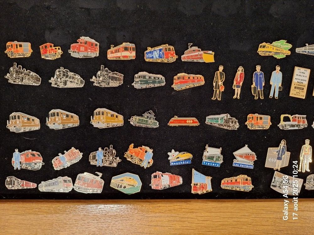 Vitrine avec 75 pins Schmid- Muller + 18 autres,selon photos (D ...