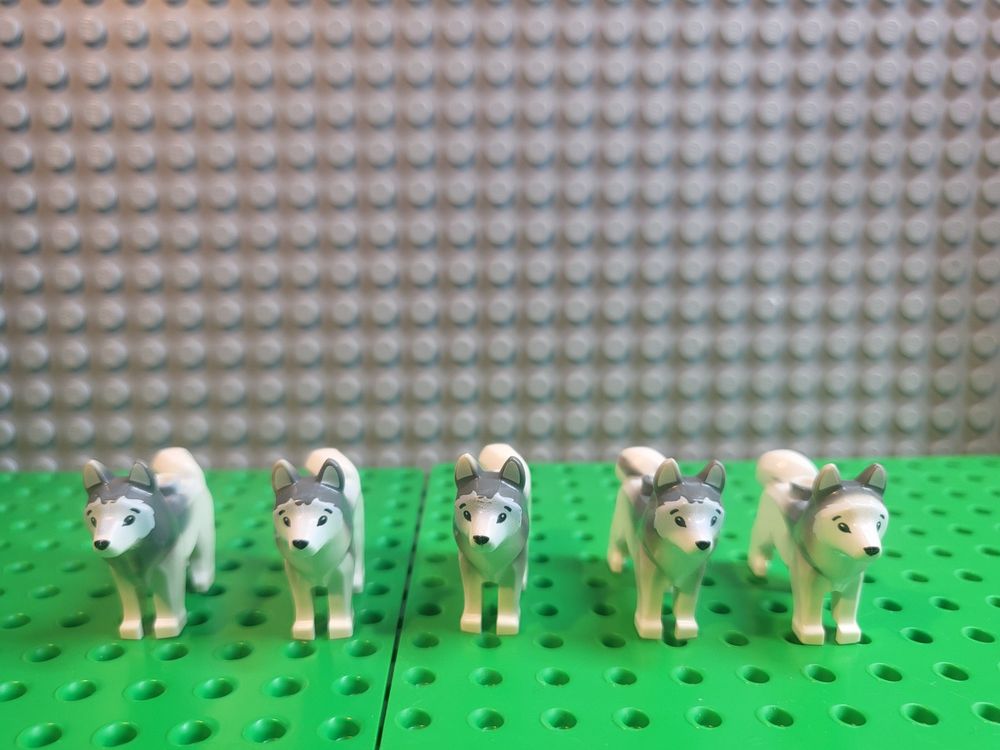 5 Lego - Tiere Hunde, Husky, zu Minifiguren versch. Sets (Gebraucht) in Wauwil für CHF 10 – mit ...