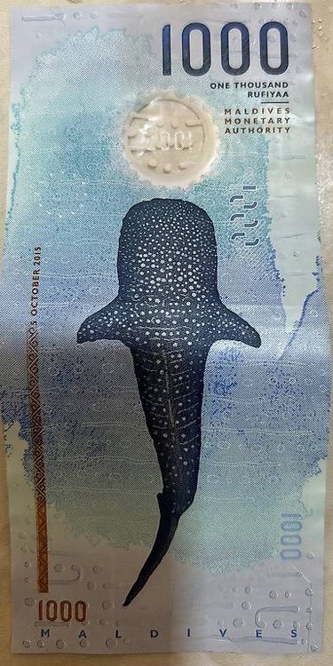 Banconote Maldive 1000 Rufiyaa - Squalo Balena e Tartaruga (Gebraucht ...