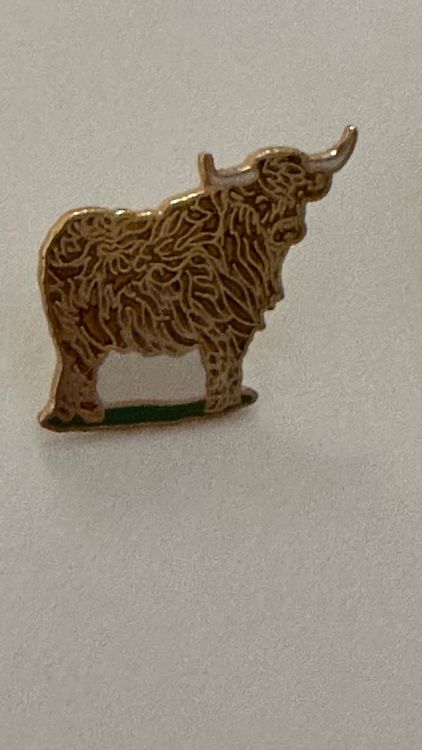Stier Pin (Gebraucht) in Gutenswil für CHF 4 – mit Lieferung auf Ricardo kaufen