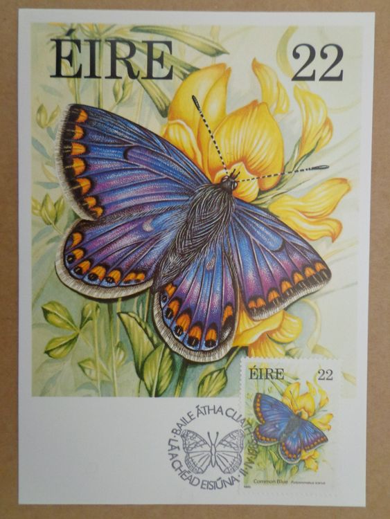 Maximumkarte MK 1985 Schmetterling/ papillon EIRE IRELAND (Neuf (Voir description)) à Le Locle ...