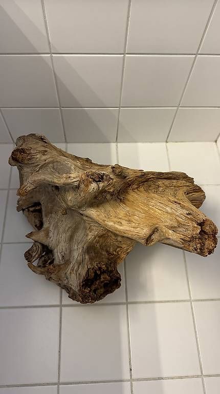 Kratz-Wurzel für Katzen (Gebraucht) in Zollikon für CHF 30 – nur ...