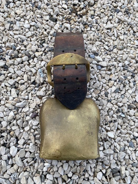 Cloche à vaches | Kaufen auf Ricardo