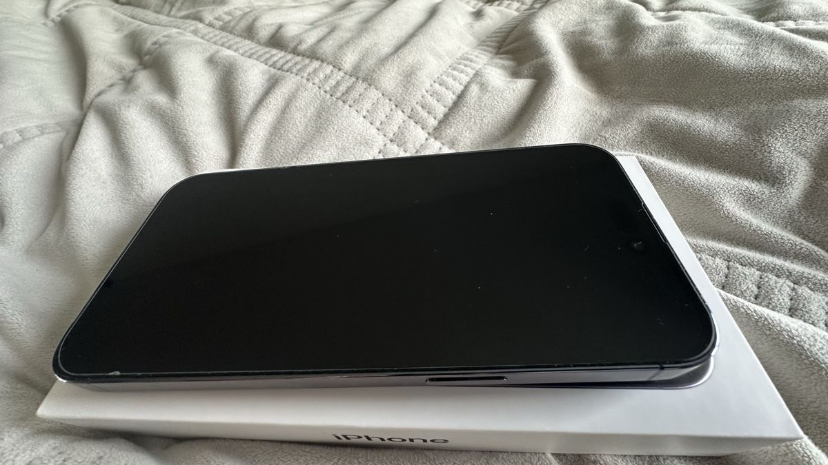 Apple iPhone 14 Pro Max, 256 GB, Violet (Neu (gemäss Beschreibung)) in ...