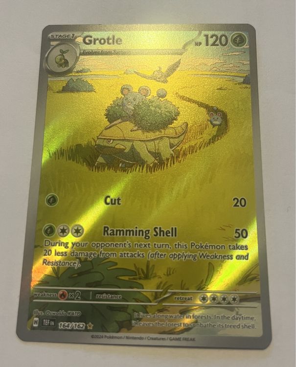 Carte Pokémon GROTLE 164/162 TEF | Kaufen auf Ricardo
