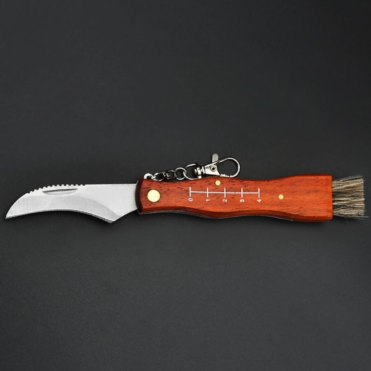 Neues Pilzmesser mit Pinzel, Sackmesser (Neu (gemäss Beschreibung)) in ...