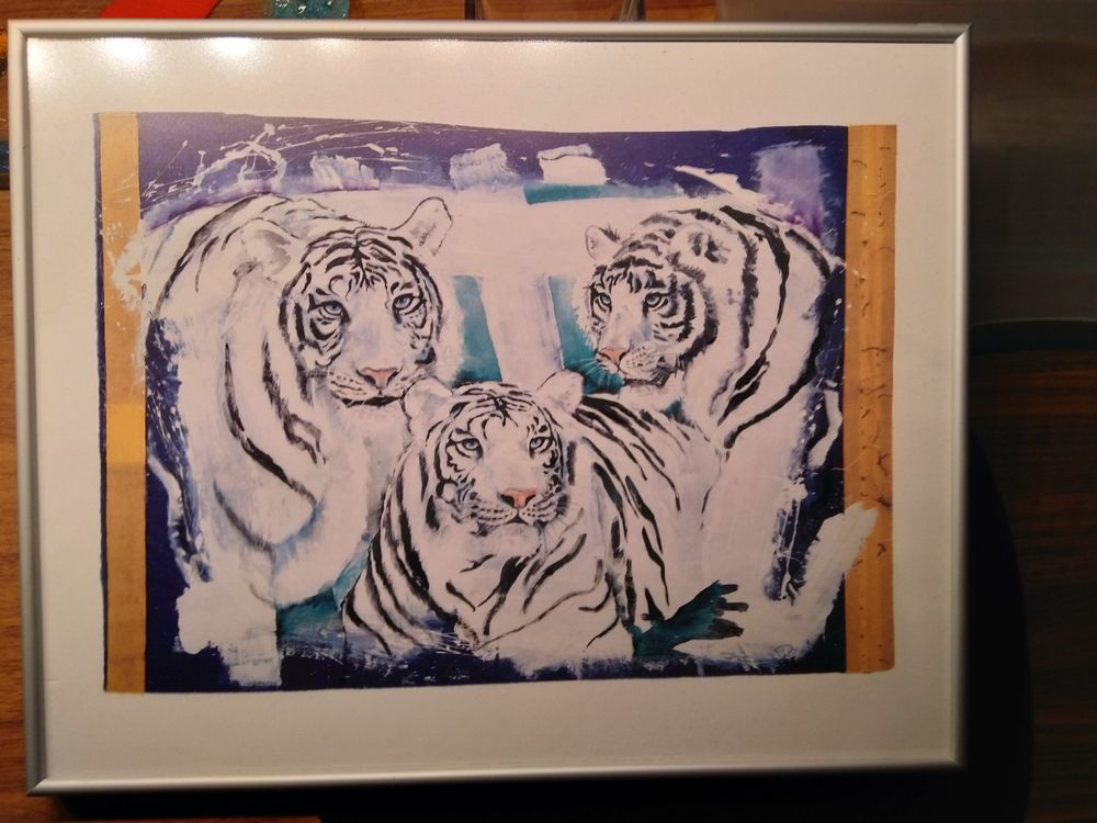 Rolf Knie, Bild mit 3 Tiger (Gebraucht) in Rieden AG für CHF 20 – nur Abholung auf Ricardo kaufen