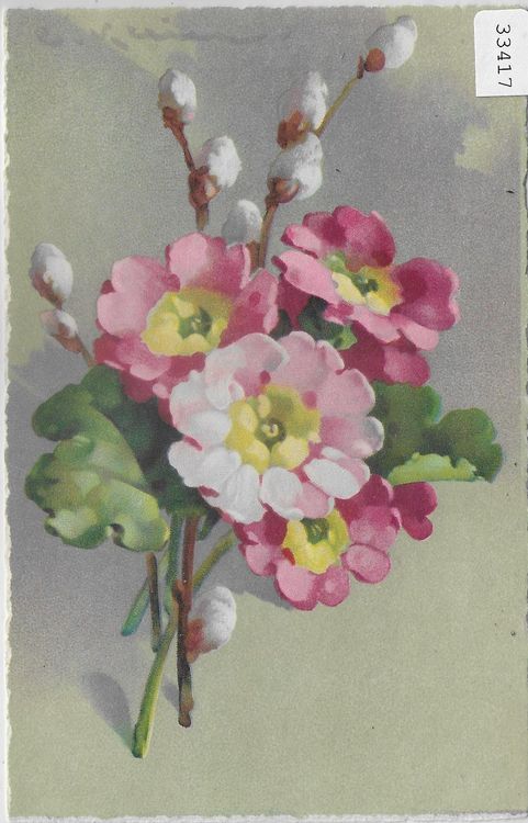 Catharina Klein - Frühlingsblumen | Kaufen auf Ricardo