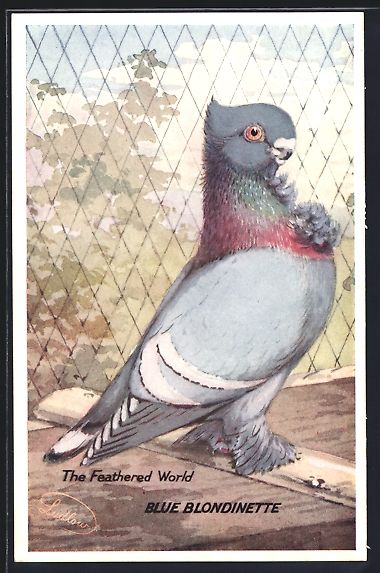 The Feathered World Blue Blondinette, Bl (Gebraucht) in Berlin für CHF ...