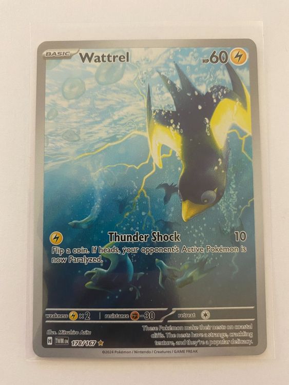 Pokemon Wattrel 178/167 Twilight Masquerade EN (Neu (gemäss Beschreibung)) in Elgg für CHF 4 ...