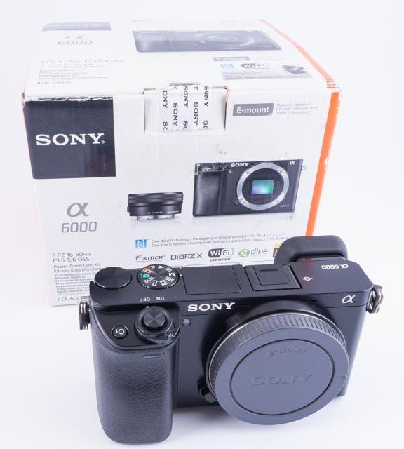 Sony Alpha ILCE 6000 Body (Gebraucht) in Viganello für CHF 199 – mit Lieferung auf Ricardo kaufen