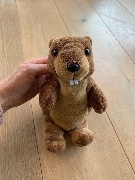 Plüsch Handpuppe Biber (Gebraucht) in Guschelmuth für CHF 7 – mit ...