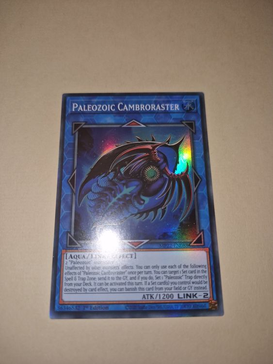 Paleozoic Cambroraster | Kaufen auf Ricardo