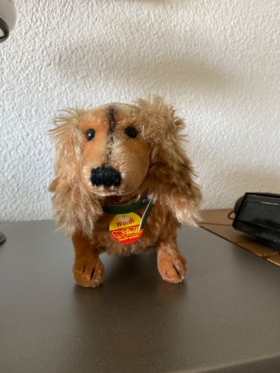 Steiff Dackel - Waldi, 22cm | Kaufen auf Ricardo