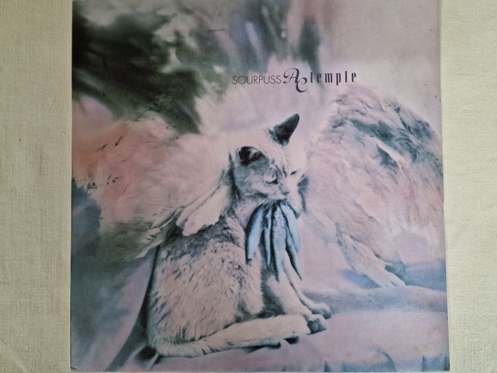 A.C. Temple LP – Sourpuss | Kaufen auf Ricardo