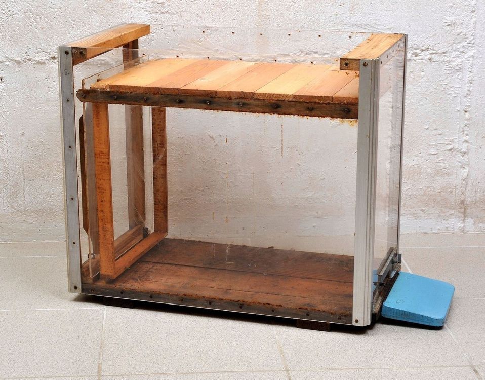 Beute aus Acrylglas Imker Biene Magazin | Kaufen auf Ricardo