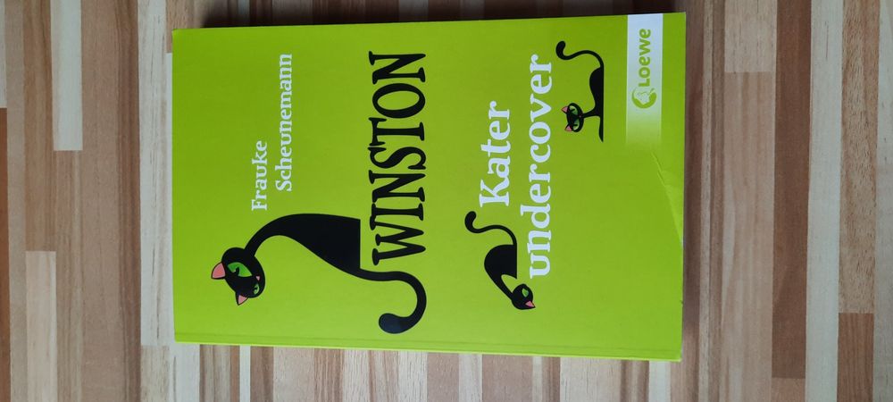 Winston - Kater undercover | Kaufen auf Ricardo