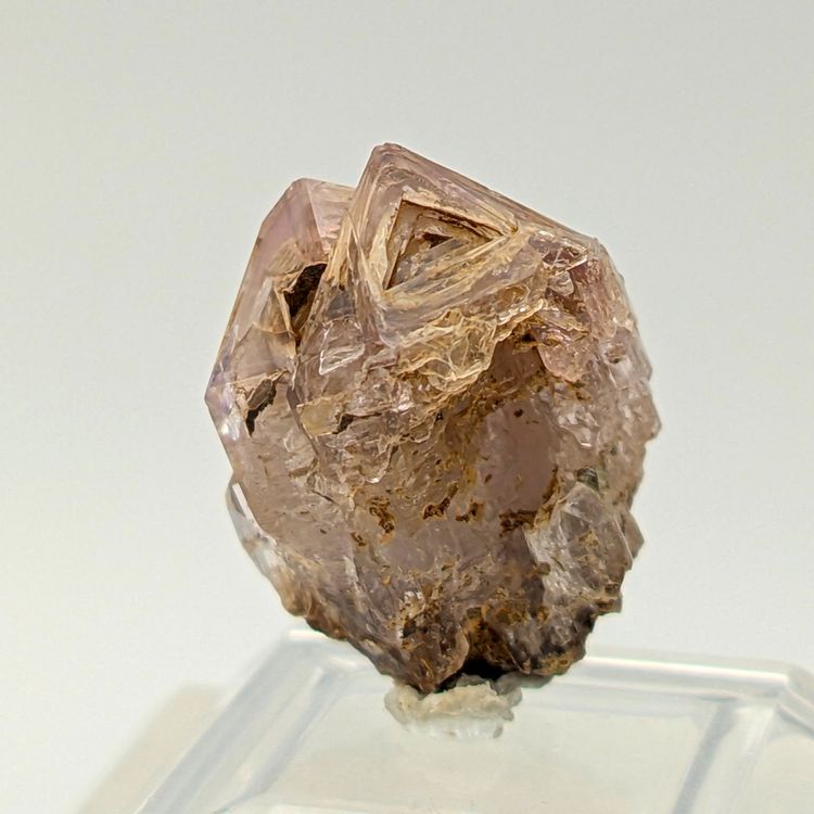 SKELETT- und FENSTER-AMETHYST mit EINSCHLÜSSEN, Sardinien (Neu (gemäss Beschreibung)) in Balerna ...