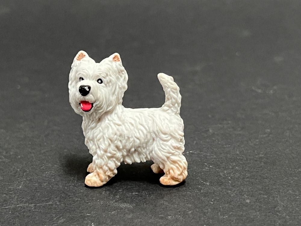 Schleich West Highland Terrier Hund (Gebraucht) in Ennetbaden für CHF 10 – mit Lieferung auf ...