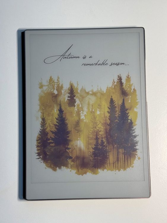 reMarkable Paper Pro | Marker Plus | Type Folio Plus DE (Gebraucht) in ...