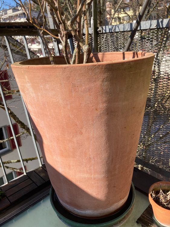 Grosser Terracotta-Pflanzentopf (Gebraucht) in Zürich für CHF 110 – nur ...
