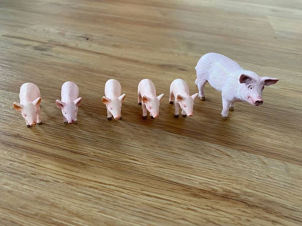 SCHLEICH Schwein und Ferkel | Kaufen auf Ricardo