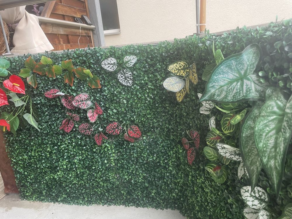 Künstliche Pflanzen paneele (Gebraucht) in Buchs ZH für CHF 50 – nur ...