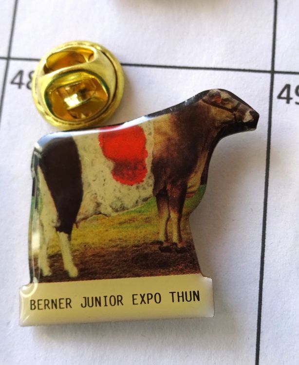 Kuh Pin Berner Junior Expo Thun (Gebraucht) in für CHF 4 – mit ...