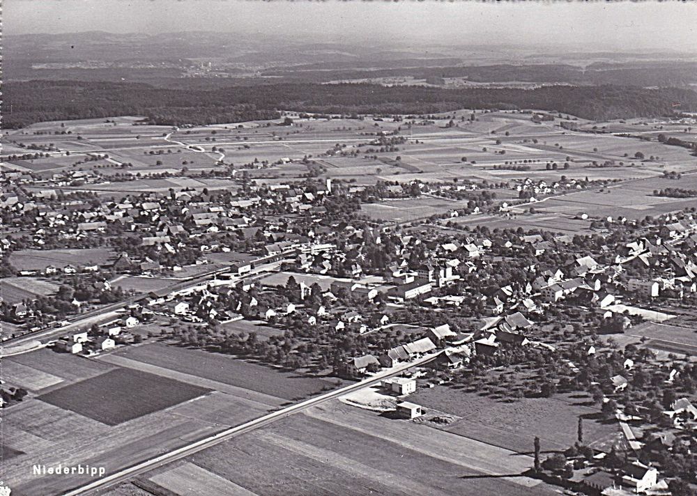Niederbipp BE Flugaufnahme Nr.3364 , 1966 (Gebraucht) in Solothurn für CHF 12 – mit Lieferung ...