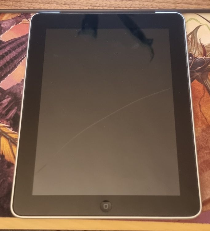 iPad - 1st Gen - 32GB - silber - Model A1337 (Gebraucht) in Regensberg ...