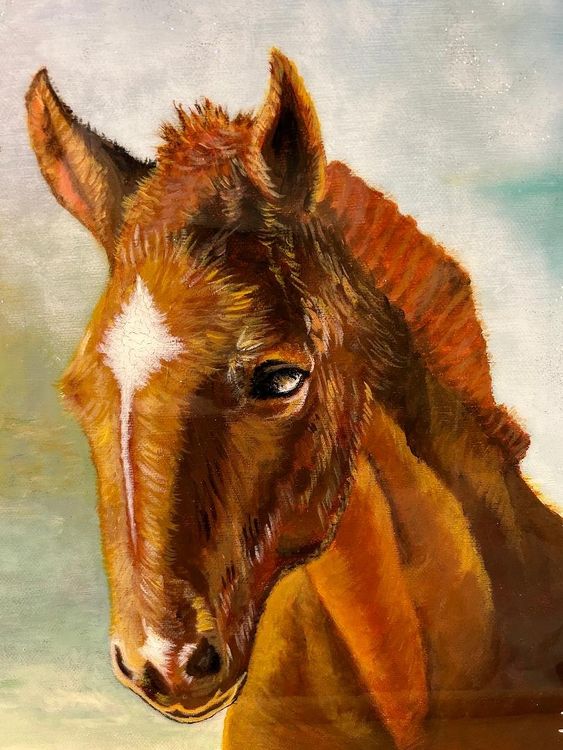 Sanfter Blick – Originalgemälde 30x40, nur 200 CHF (Neu (gemäss Beschreibung)) in Baar für CHF ...