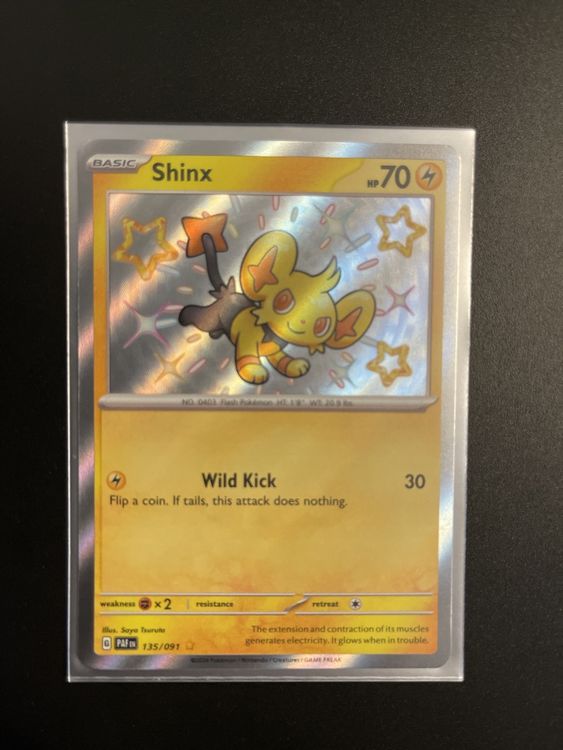 Shinx baby shiny Paldean Fates EN | Kaufen auf Ricardo