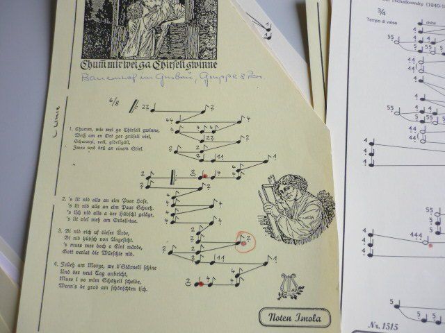 Zither Notenbläter Musiknoten Noten Jmola | Kaufen auf Ricardo