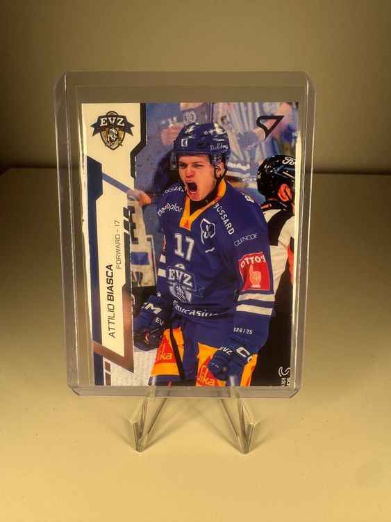 278 Attilio Biasca EVZ/EV Zug NL 2024/25 SportZoo (Neu (gemäss Beschreibung)) in Zug für CHF 2 ...