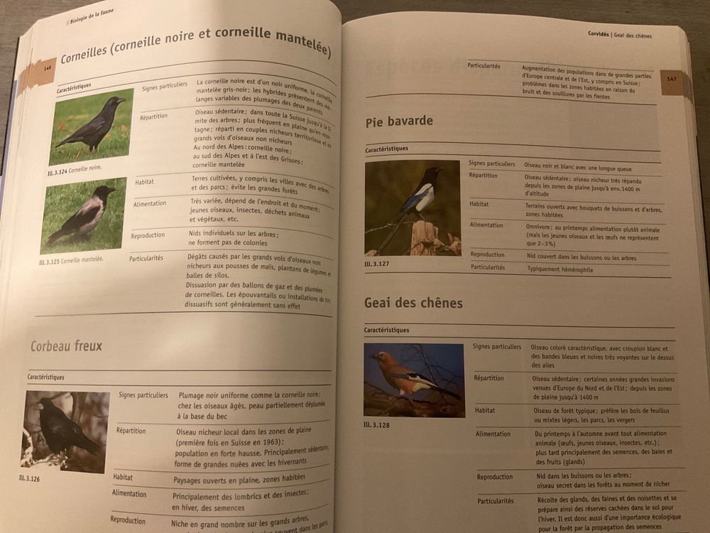 Chasser en Suisse: Permis de chasse - Guide pratique 2019 (D'occasion ...