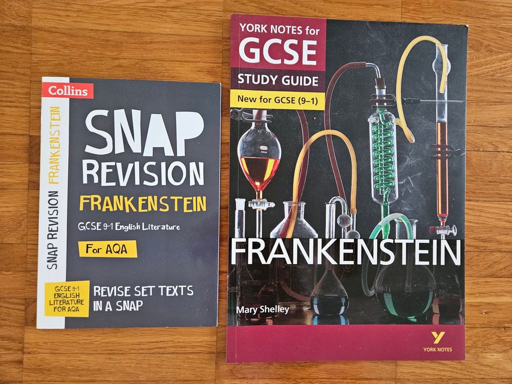 Frankenstein Study Guide & Revision (Neu) - English version (Neu ...